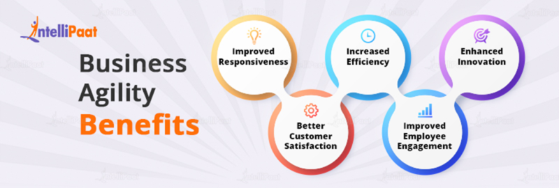 What is Business Agility? Examples & Why Is It Used