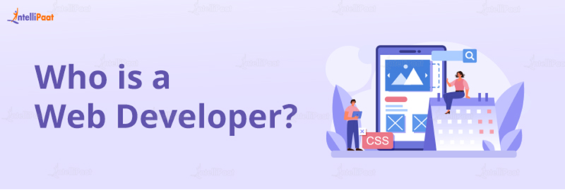 Web Designer vs Web Developer - Difference between them