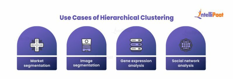 What is Hierarchical Clustering? Types, Method & Applications