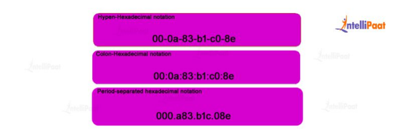 What is a MAC Address and How to Find It? | Intellipaat