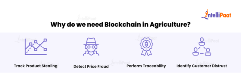 Blockchain Technology in Agriculture | Intellipaat