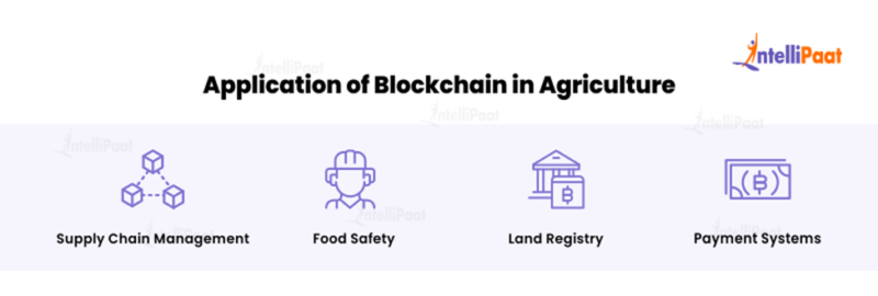 Blockchain Technology in Agriculture | Intellipaat