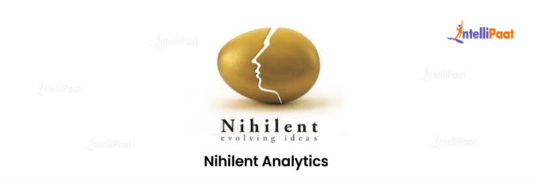 Top 20 Data Analytics Companies In India | Intellipaat