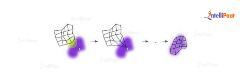 What is Clustering in Data Mining? Methods and Applications