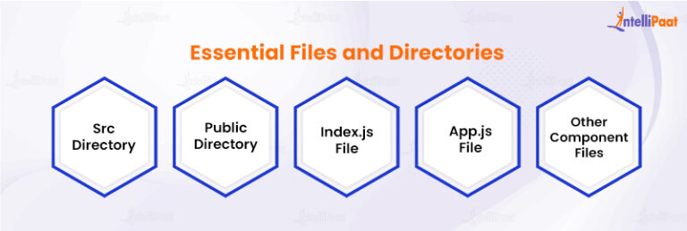 Create React App with Ease: A Guide for Learning React