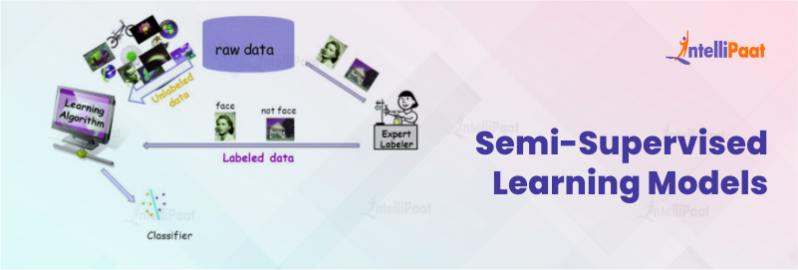 What are Machine Learning Models? Definition, Types and How to Build