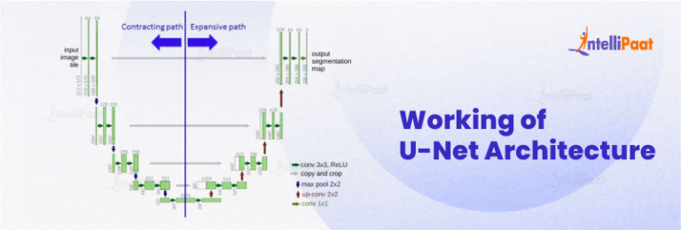 U Net Architecture: Explained | Intellipaat