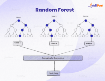 What are Machine Learning Models? Definition, Types and How to Build