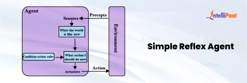 5 Types of Agents in Artificial Intelligence (AI)