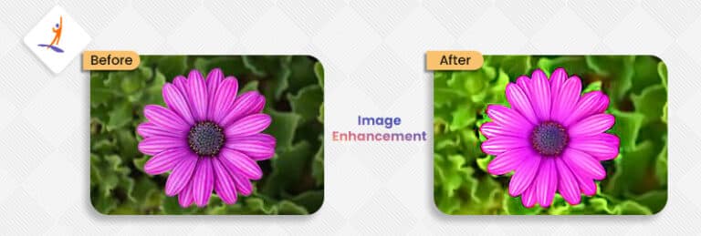 Mastering Image Processing: Techniques, Applications, and Machine ...