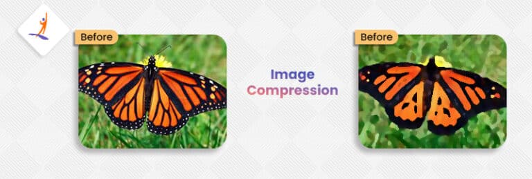 Mastering Image Processing: Techniques, Applications, and Machine ...