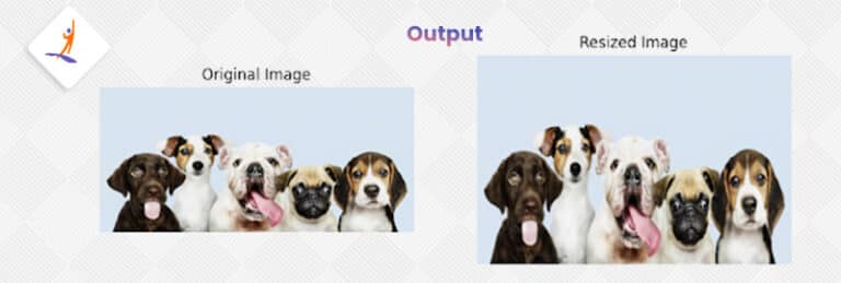 Mastering Image Processing: Techniques, Applications, and Machine ...