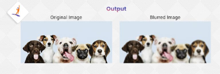 Mastering Image Processing: Techniques, Applications, and Machine ...