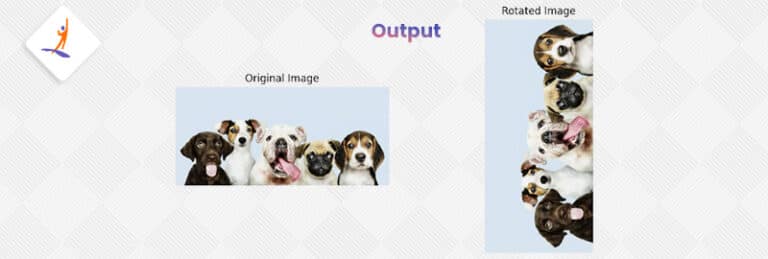 Mastering Image Processing: Techniques, Applications, and Machine ...