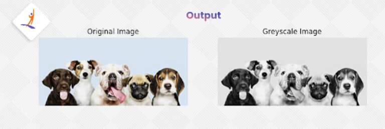 Mastering Image Processing: Techniques, Applications, and Machine ...