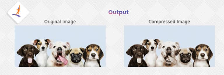 Mastering Image Processing: Techniques, Applications, and Machine ...