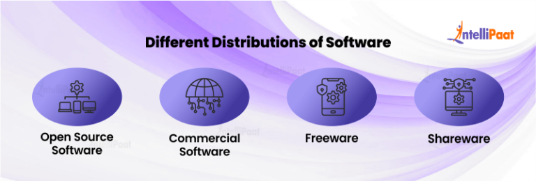 What is Software? | Intellipaat