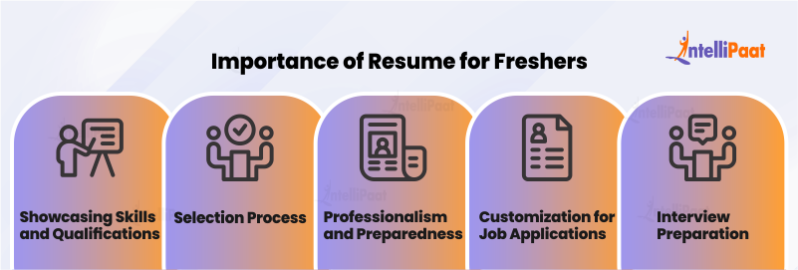 How to Make a Resume For Freshers: Resumes for High-Paying Jobs