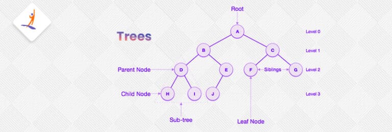 A Detailed Guide : What is Data Structure?