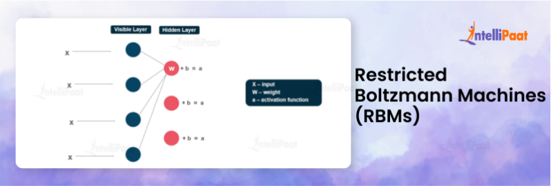 12 Best Deep Learning Algorithms to know in 2025 | Intellipaat