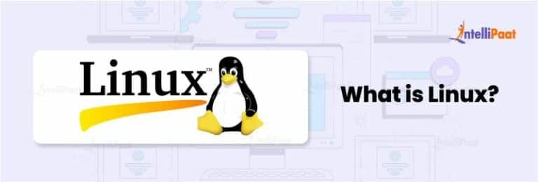 Linux vs Windows: Which Operating System is best?