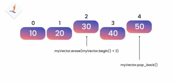 C++ Vectors: 5 Different Initialization Approaches with Examples