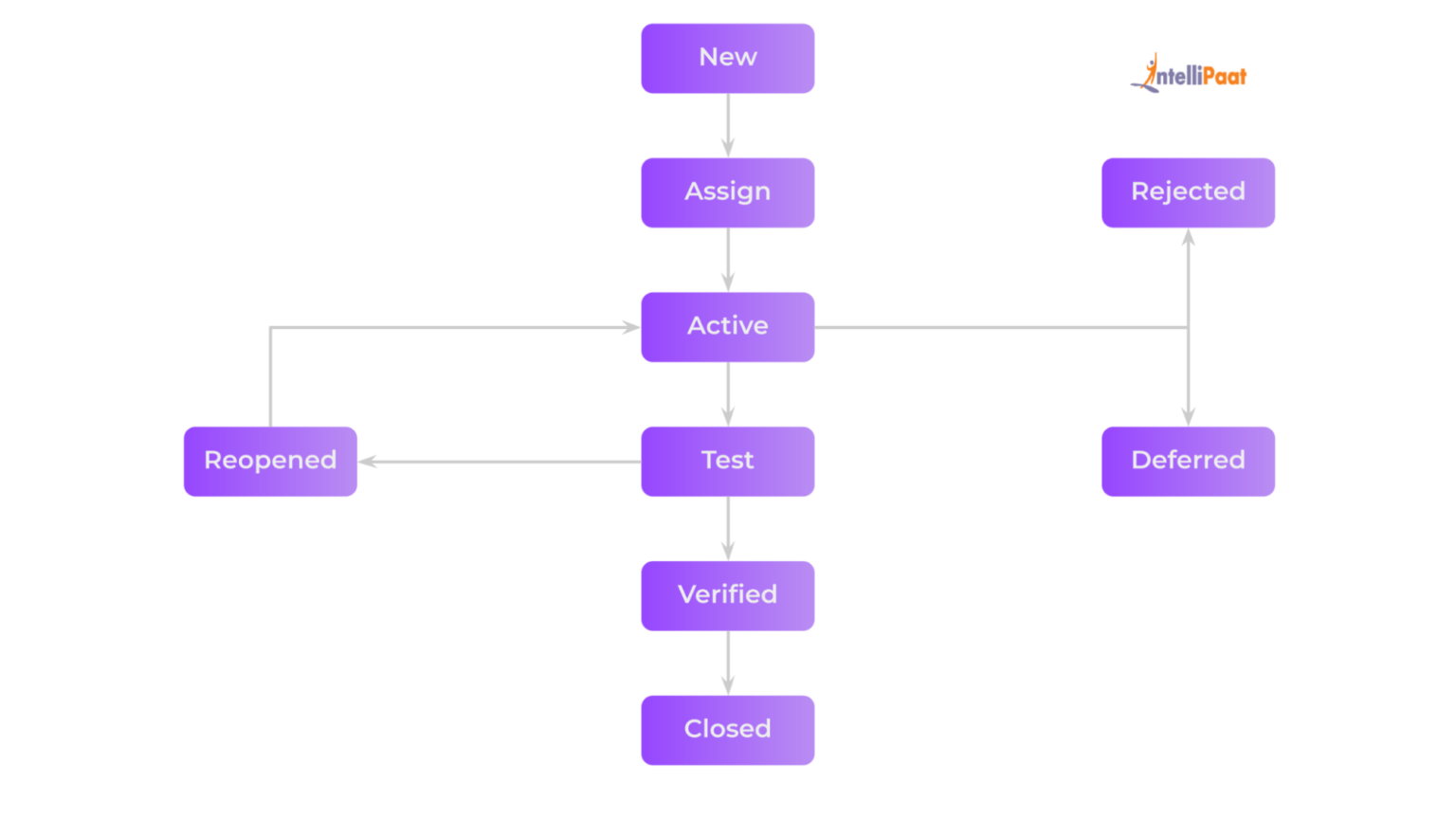 Bug Life Cycle in Software Testing - States, Steps, and Needs