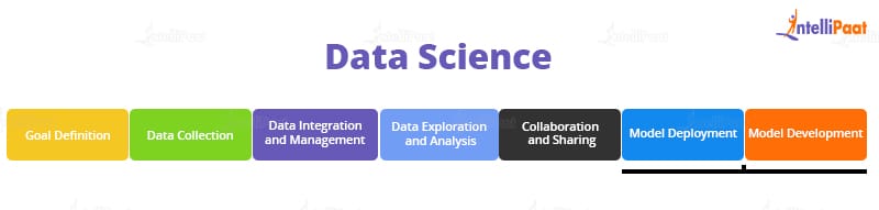 Data Science vs. Data Analytics - What's the Difference?