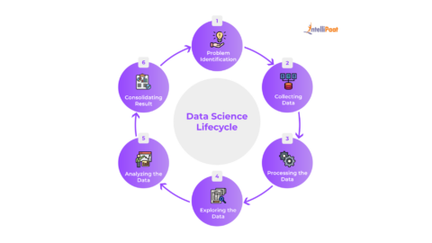 What is Data Science Life Cycle? Steps Explained