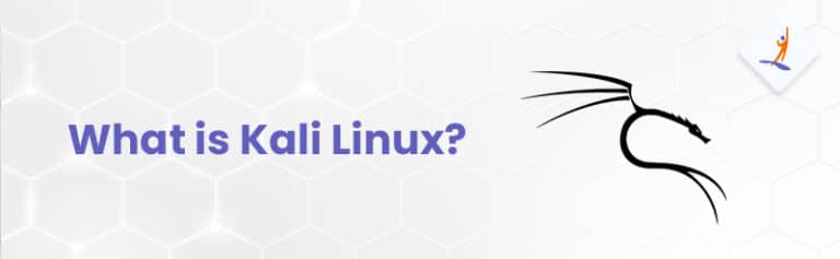Parrot OS vs Kali Linux: Which one is Better?