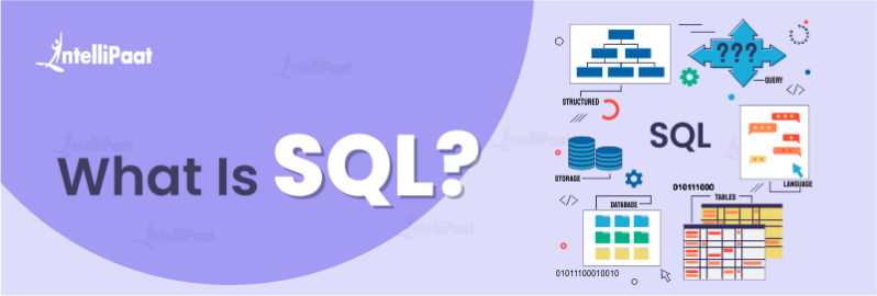 SQL vs. NoSQL: Which Database is Right for Your Project?