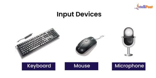 IPO Cycle Explained: Key Stages and Processes