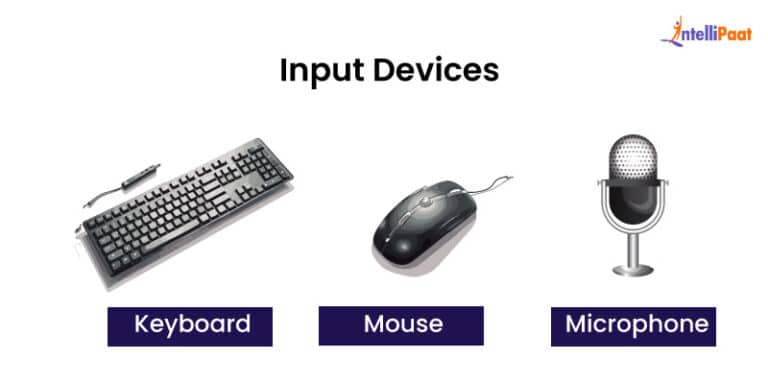 IPO Cycle Explained: Key Stages and Processes