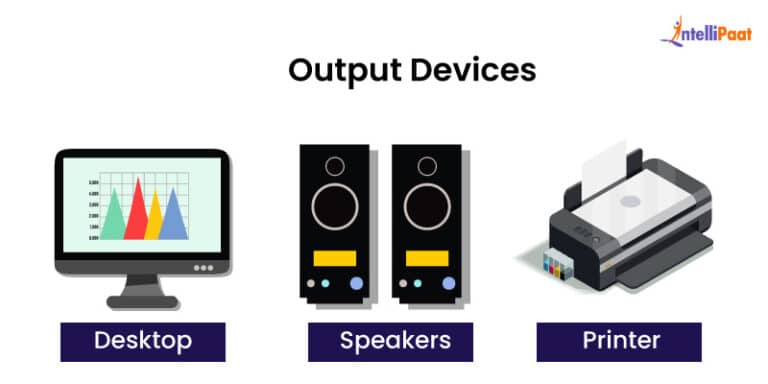 IPO Cycle Explained: Key Stages and Processes