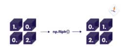 Top Numpy Interview Questions and Answers in 2025