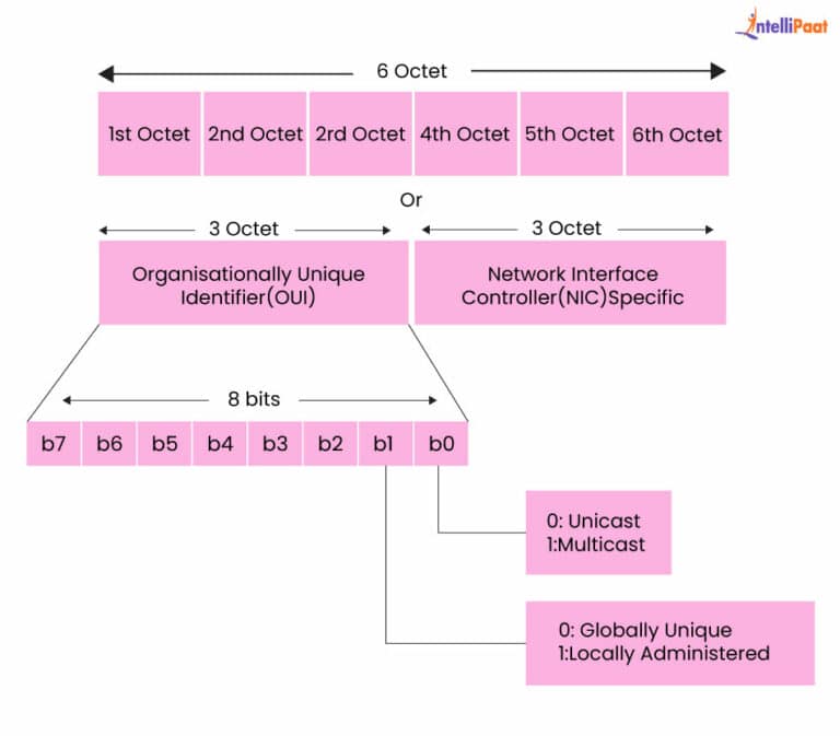 What is a MAC Address and How to Find It? | Intellipaat