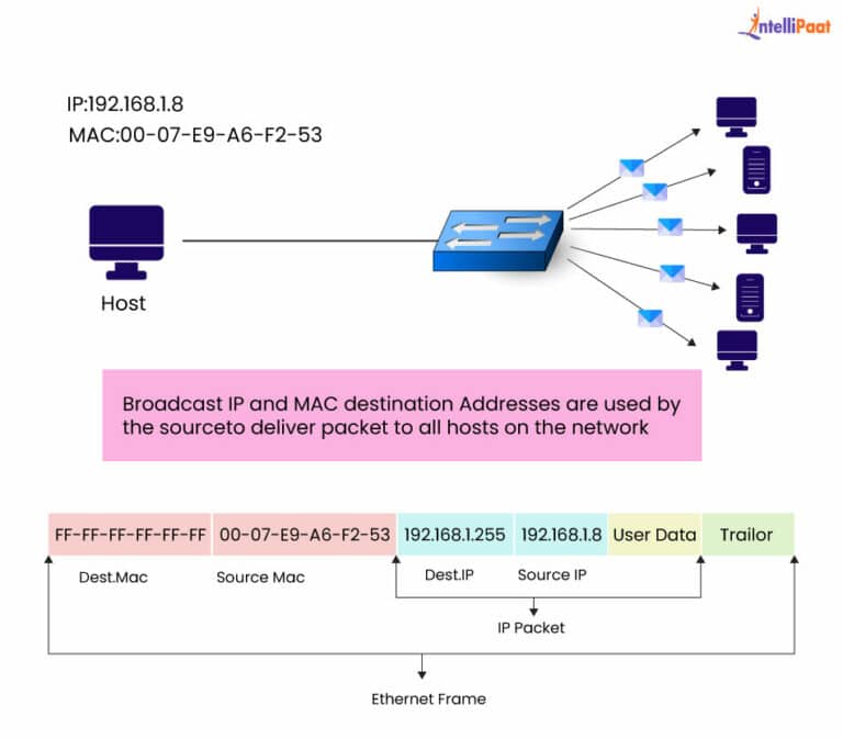 What is a MAC Address and How to Find It? | Intellipaat