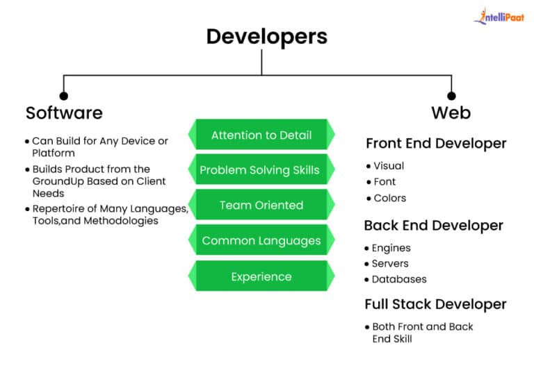 Web Developer vs Software Developer - Choose Your Career Path