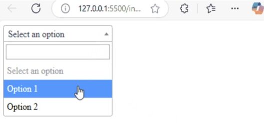 How to Style the Option of an HTML Select Element?