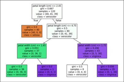 How to Extract the Decision Rules from Scikit-Learn Decision Tree