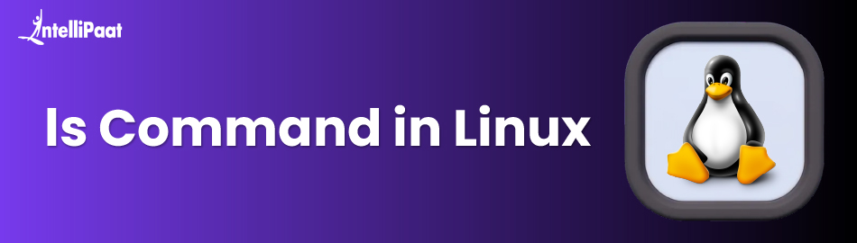 ls Command in Linux: 15+ Options & Examples Tutorial