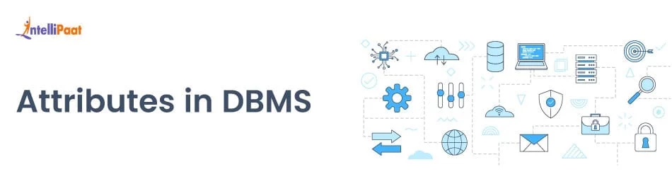 What is an Attribute in DBMS? Different Types Explained
