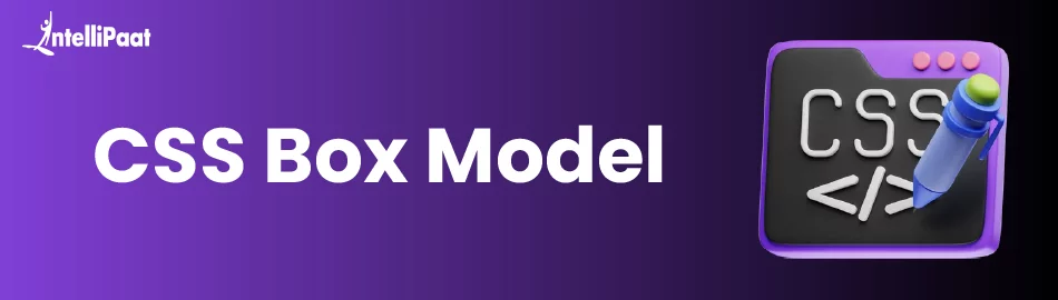 CSS Box Model - Intellipaat