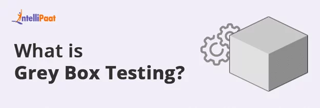 Grey Box Testing | Techniques, Examples, and more | Intellipaat