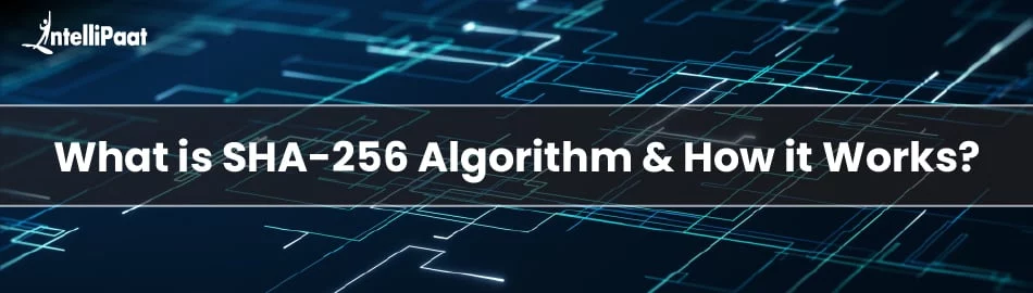 What is the SHA-256 Algorithm & How it Works?