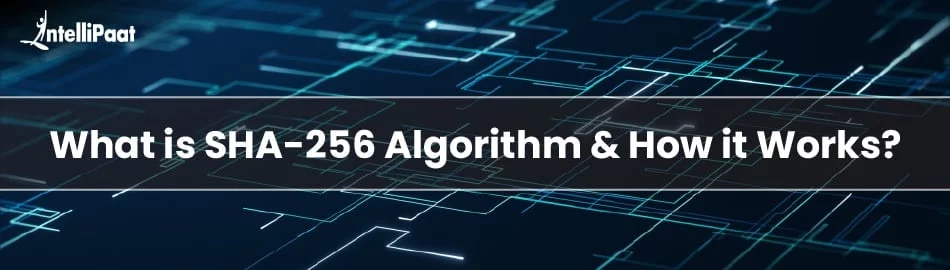 What is the SHA-256 Algorithm & How it Works?
