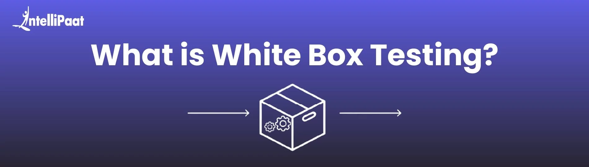 What is White Box Testing? Types and Techniques