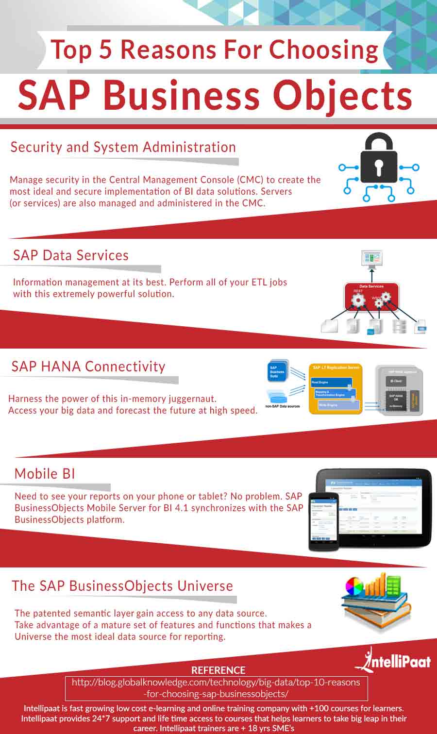 Sap Business